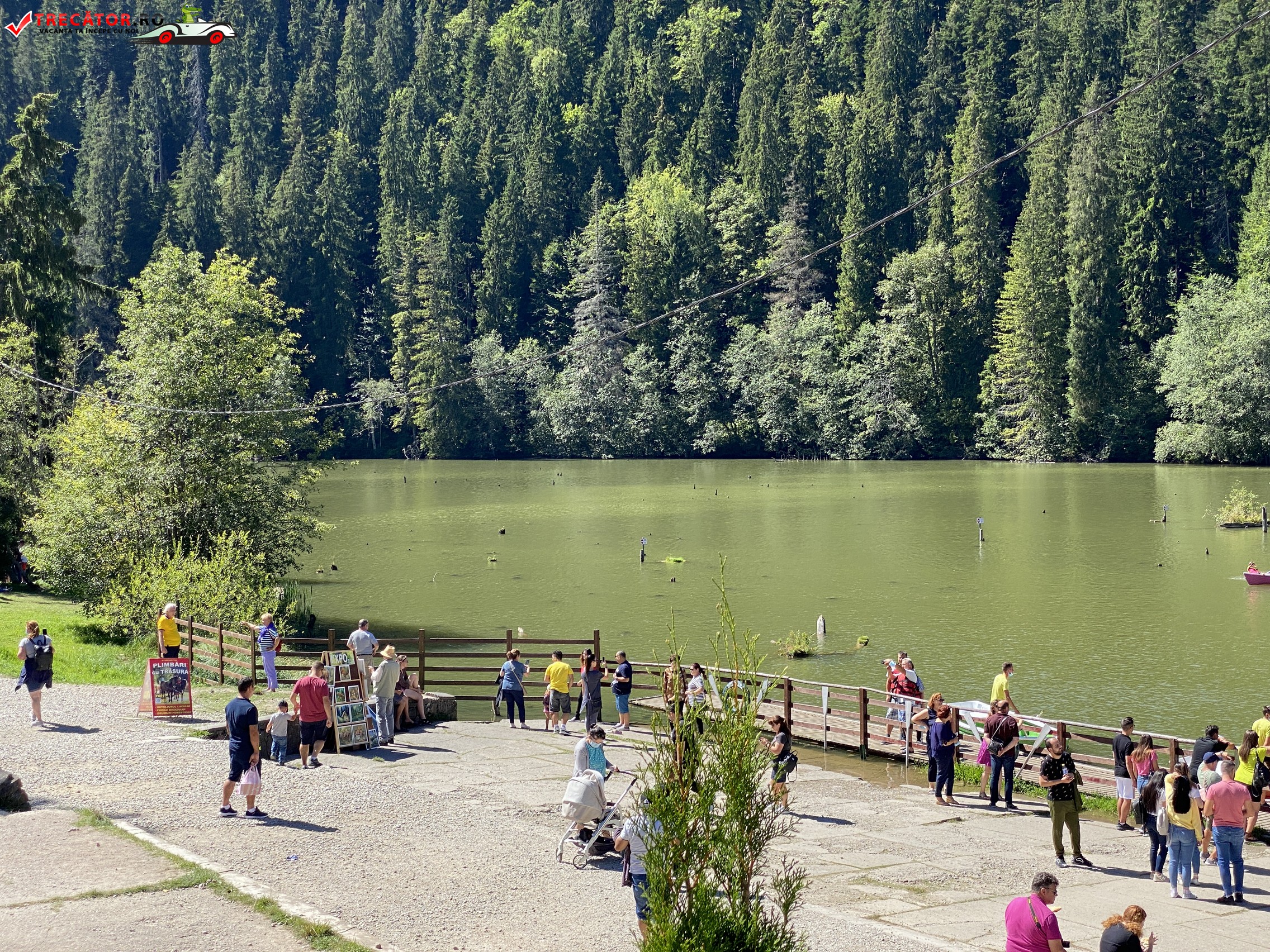 Lacul Rosu. Galerie Foto - Imagini cu Obiective Turistice