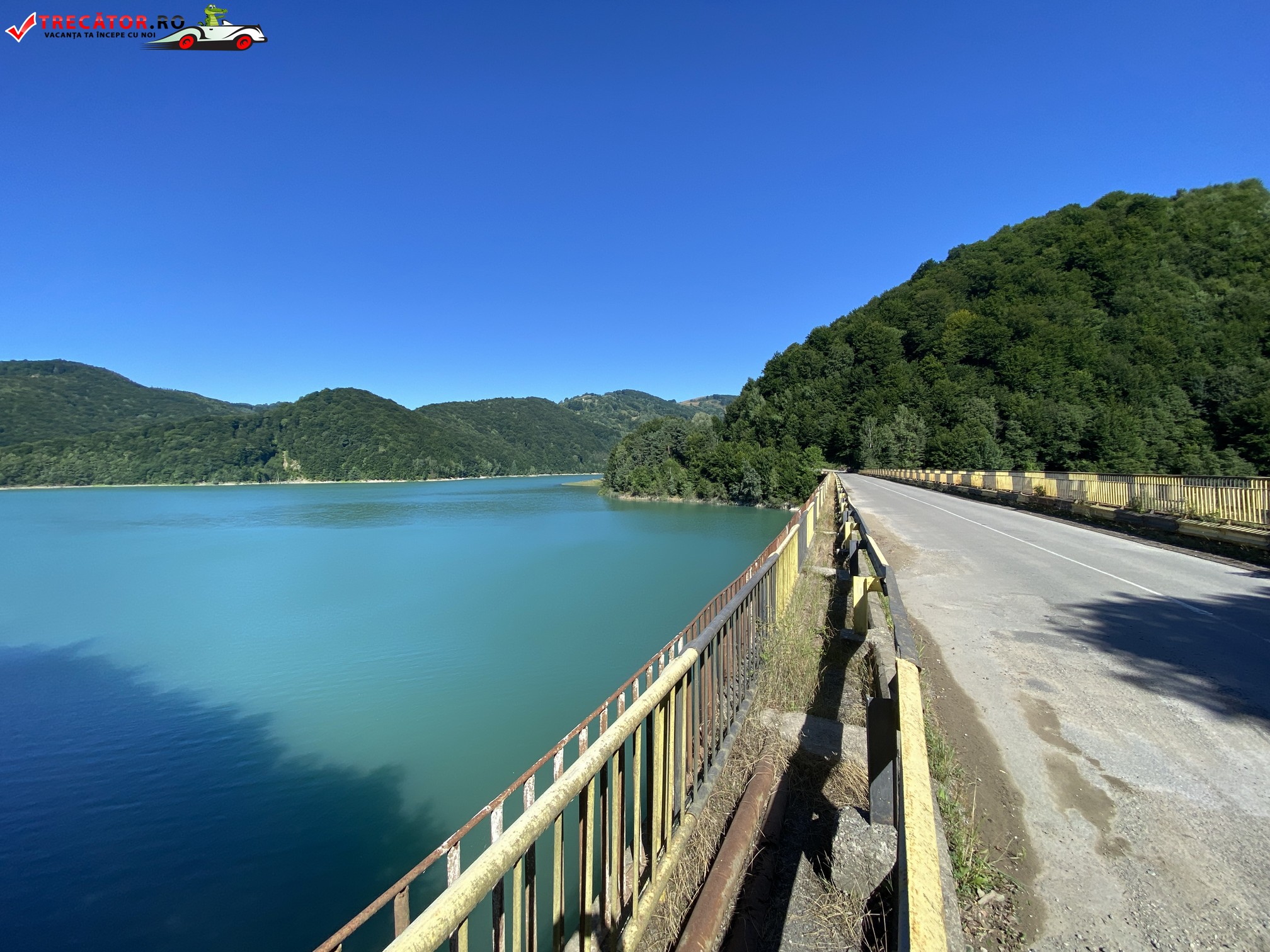 Lacul Paltinu. Galerie Foto - Imagini cu Obiective Turistice