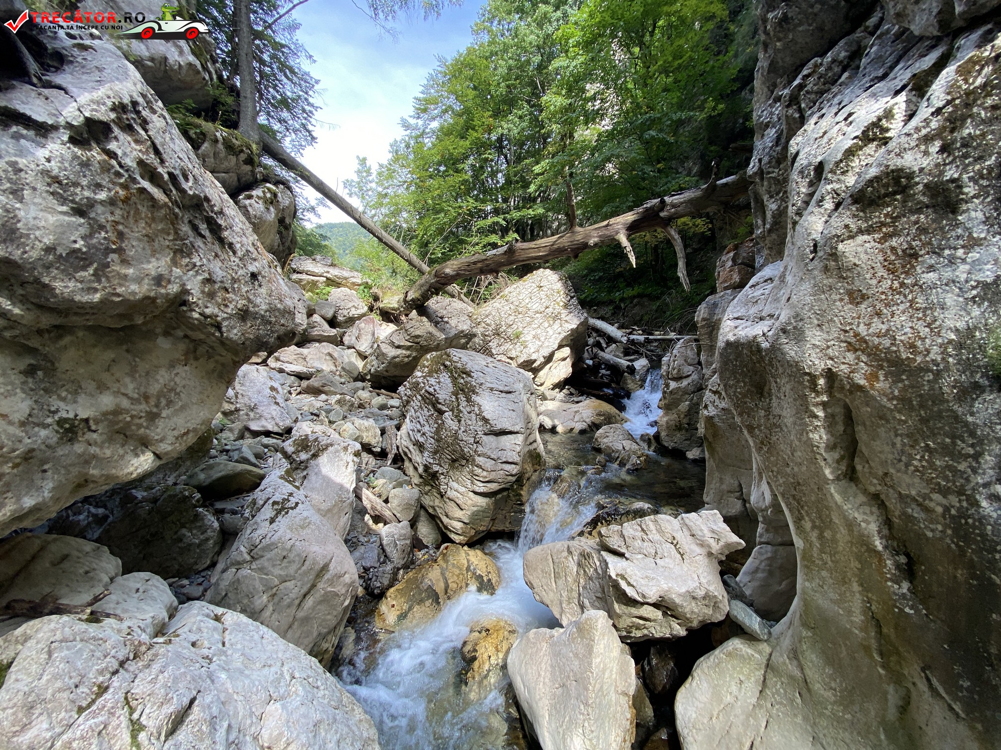 Cheile Cheii. Galerie Foto - Imagini cu Obiective Turistice