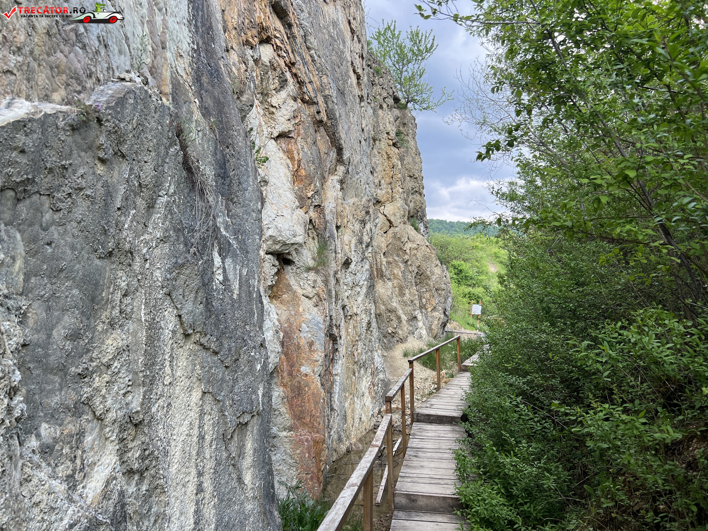 Rezervația geologică Dealul Melcului din Corund. Galerie Foto - Imagini ...