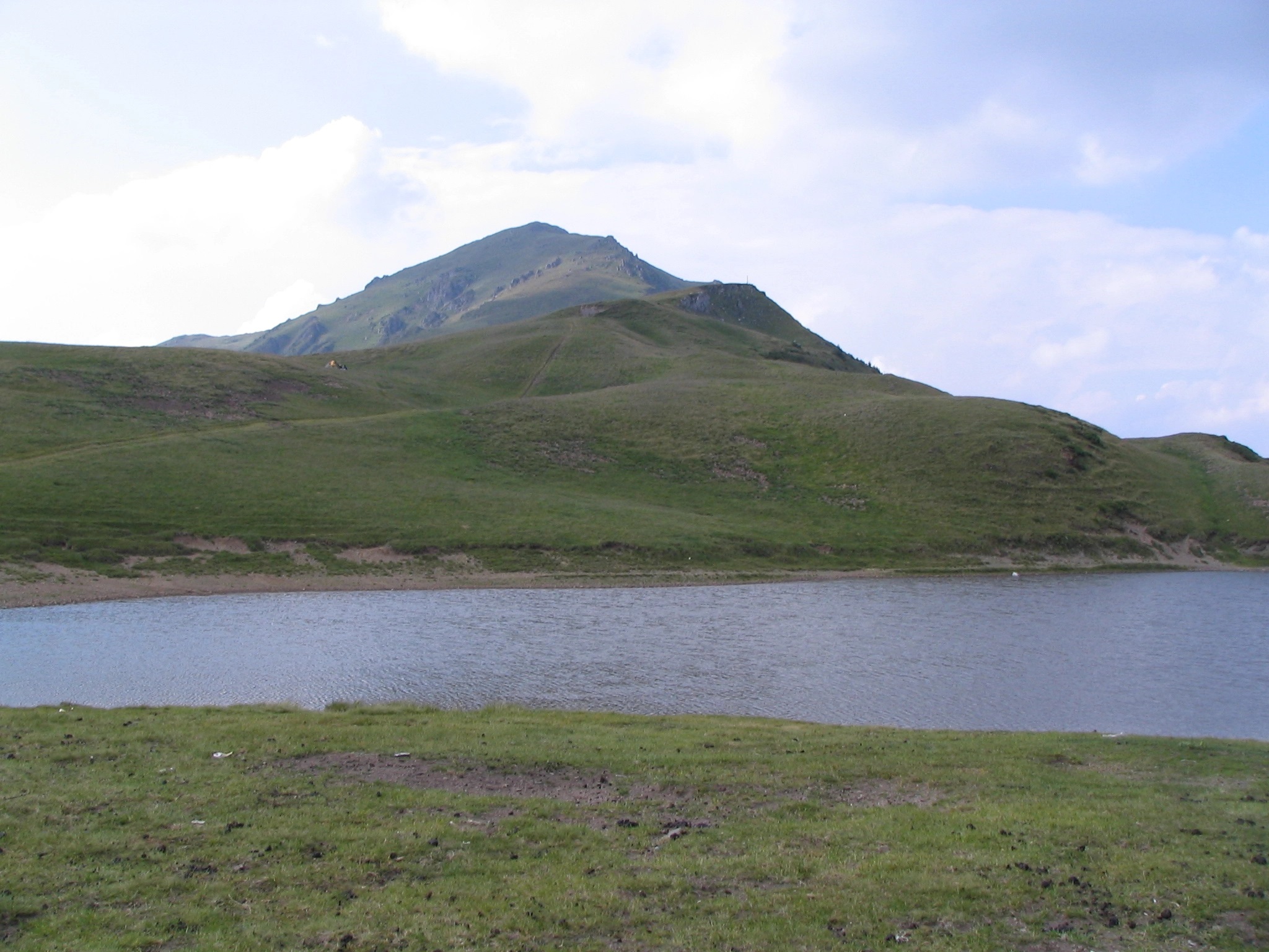 Rezervația naturală Vârful Farcău - Lacul Vinderel - Vârful Petriceaua ...